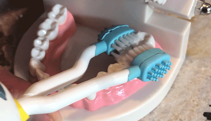 ToothShower - Complete Oral Care In Your Shower | Indiegogo