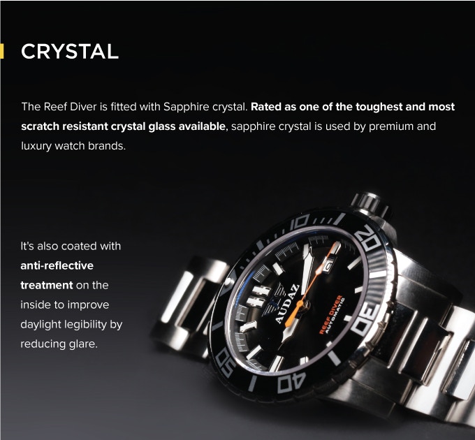 The Reef Diver 300m High Quality Luxury Dive Watch | Indiegogo
