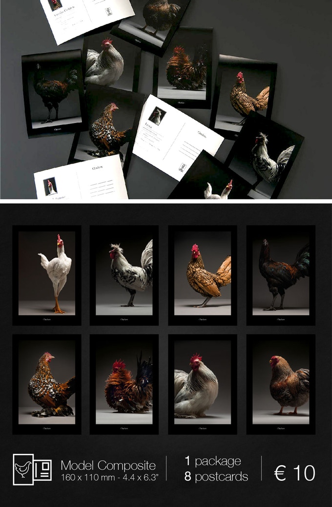 The Most Stunning Chicken Book Photos Ever Made | Indiegogo