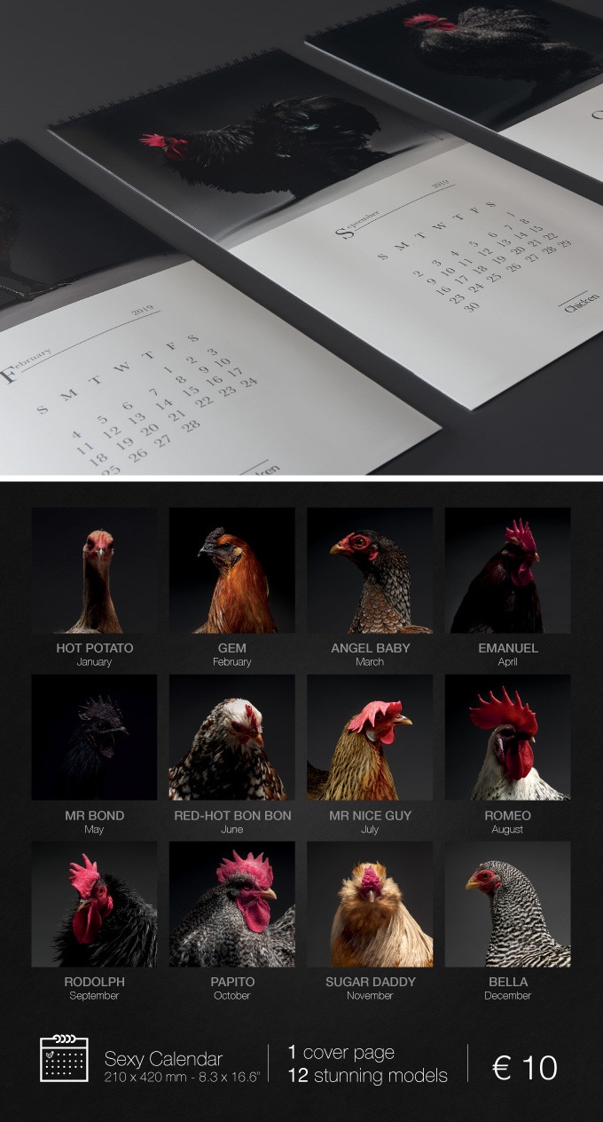 The Most Stunning Chicken Book Photos Ever Made | Indiegogo