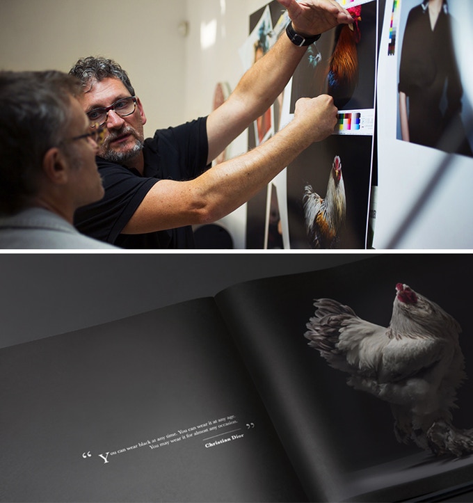 The Most Stunning Chicken Book Photos Ever Made | Indiegogo