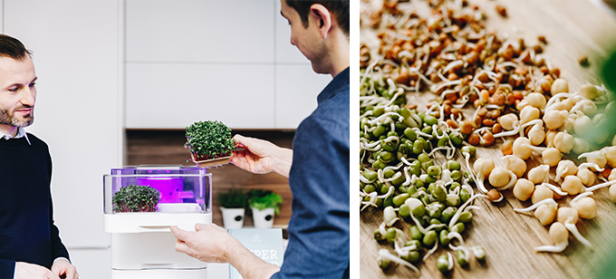 Your smart garden for fresh & local superfoods | Indiegogo