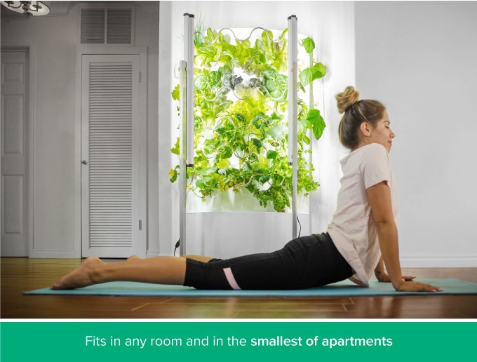 Grow Huge Fruits and Veggies Indoors with iHarvest | Indiegogo