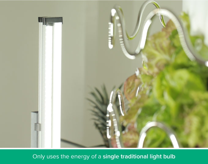 Grow Huge Fruits and Veggies Indoors with iHarvest | Indiegogo