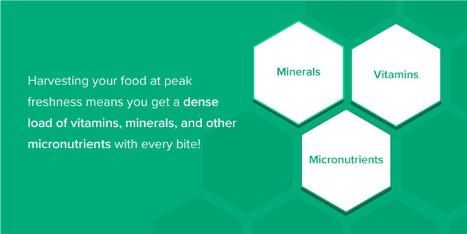 Grow Huge Fruits and Veggies Indoors with iHarvest | Indiegogo