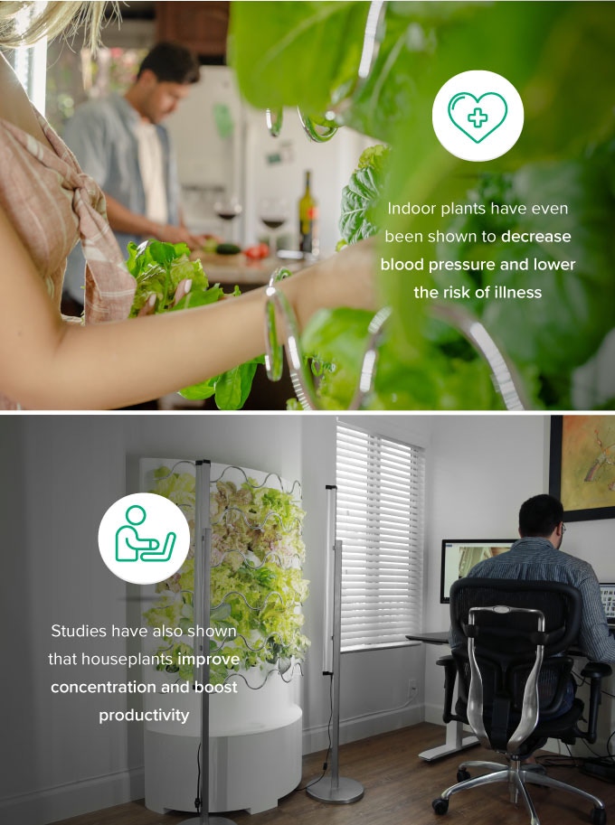 Grow Huge Fruits and Veggies Indoors with iHarvest | Indiegogo