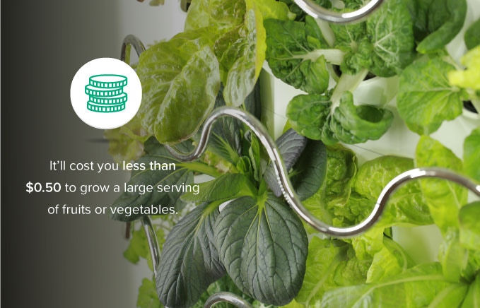 Grow Huge Fruits and Veggies Indoors with iHarvest | Indiegogo