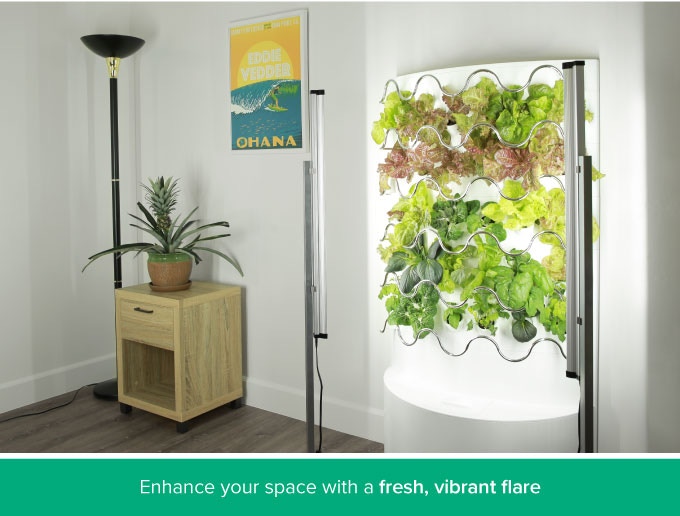 Grow Huge Fruits and Veggies Indoors with iHarvest | Indiegogo