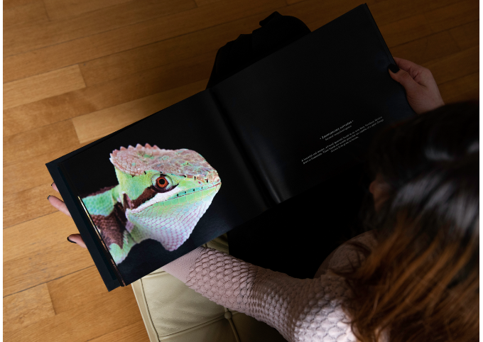 COLD INSTINCT: Stunning Reptiles and Amphibians | Indiegogo