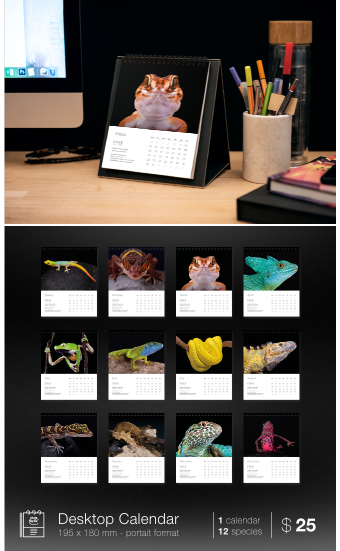 COLD INSTINCT: Stunning Reptiles and Amphibians | Indiegogo