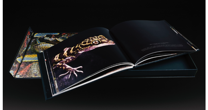 COLD INSTINCT: Stunning Reptiles and Amphibians | Indiegogo